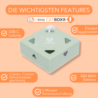 CatBox® - interaktives Katzenspielzeug – KITTINIS