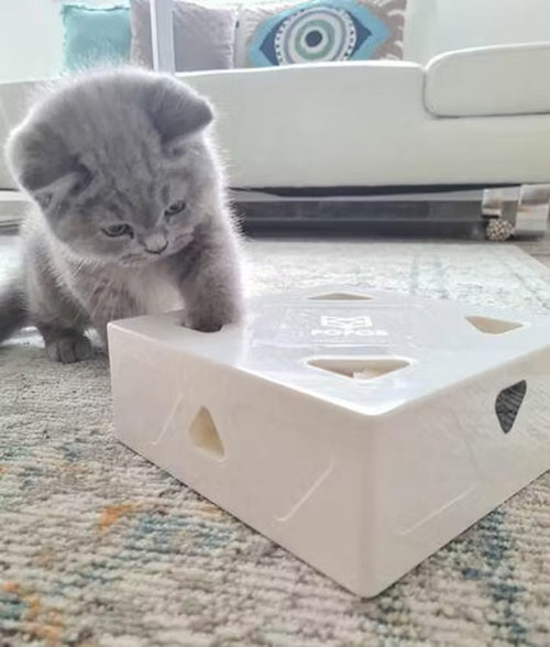 CatBox® - interaktives Katzenspielzeug – KITTINIS