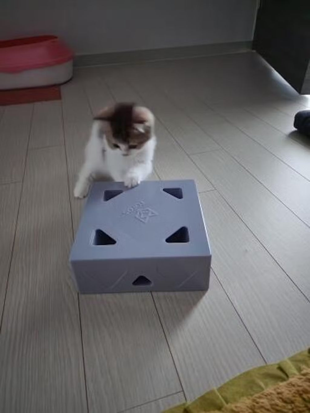 CatBox® - interaktives Katzenspielzeug – KITTINIS